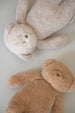 Moonie Organic Humming Bear Sleep Aid With Night Light – Sacred Bundle