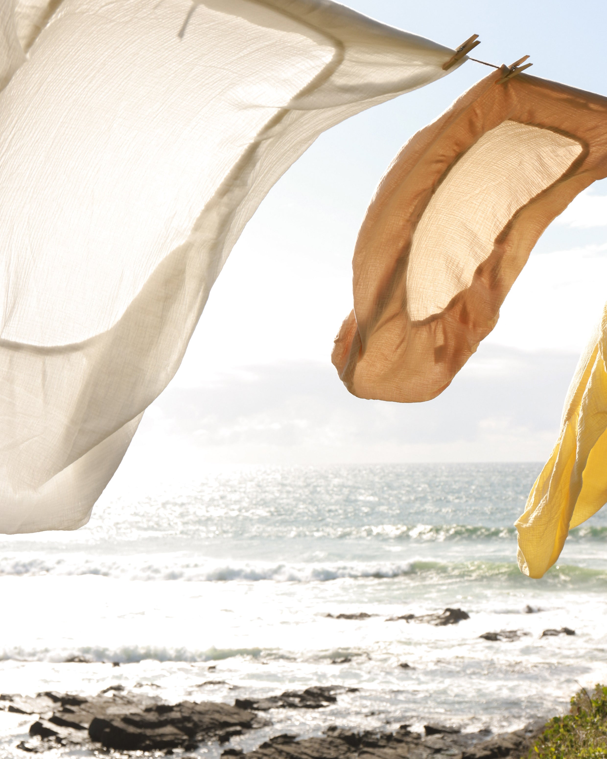 Collections – Sacred Bundle